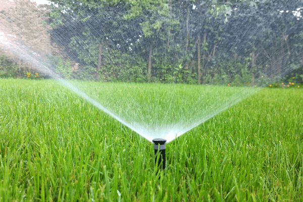 Best Automatic Sprinkler System: Top 5 Benefits in 2024