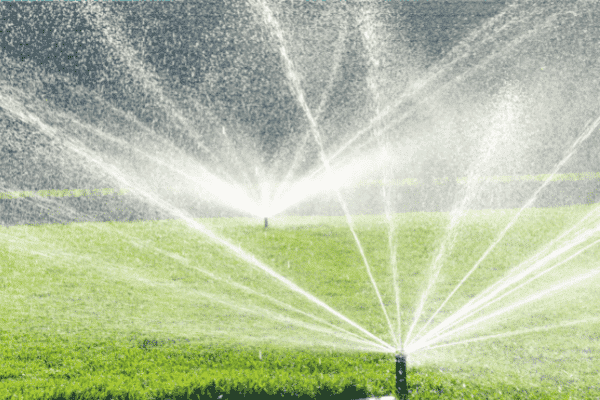 How to Lawn Sprinkler System: Best DIY Tips for 2024
